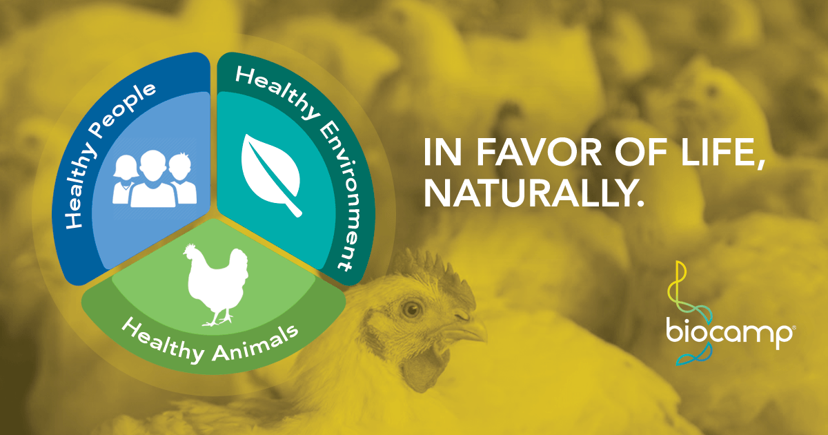 In favor of life, naturally | Biocamp