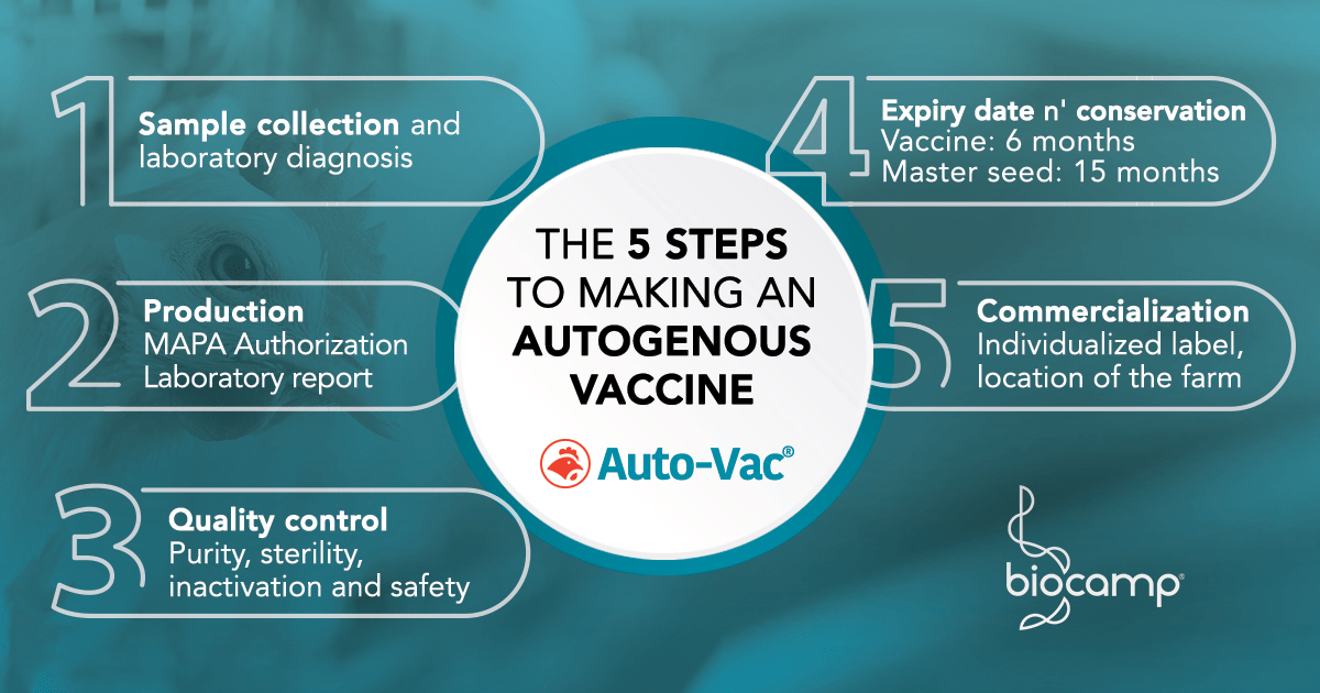 Autogenous vaccines for use on farms | Biocamp